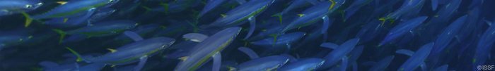 Data Check Companies - International Seafood Sustainability Foundation