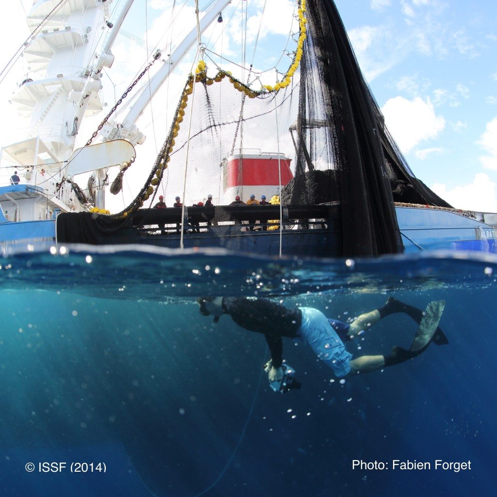 Pacific Ocean Tuna Fisheries Managers Adopt Critically Needed Harvest ...