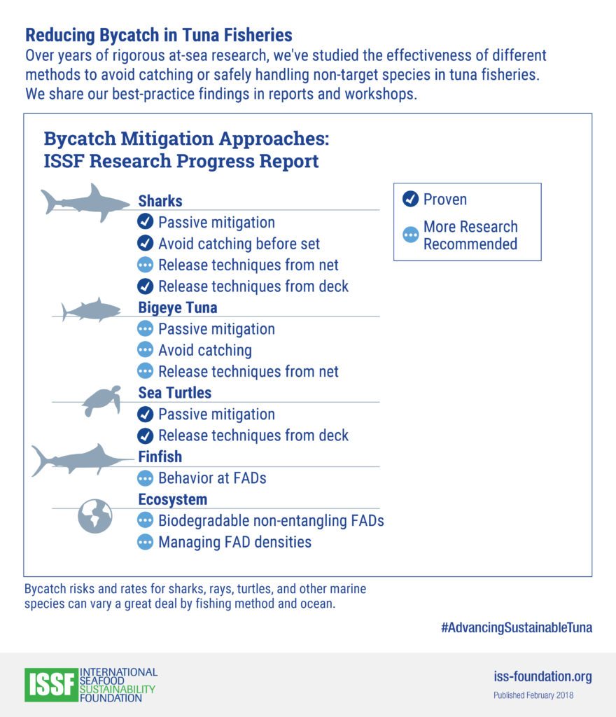 Bycatch Mitigation Research Progress Report - International Seafood ...