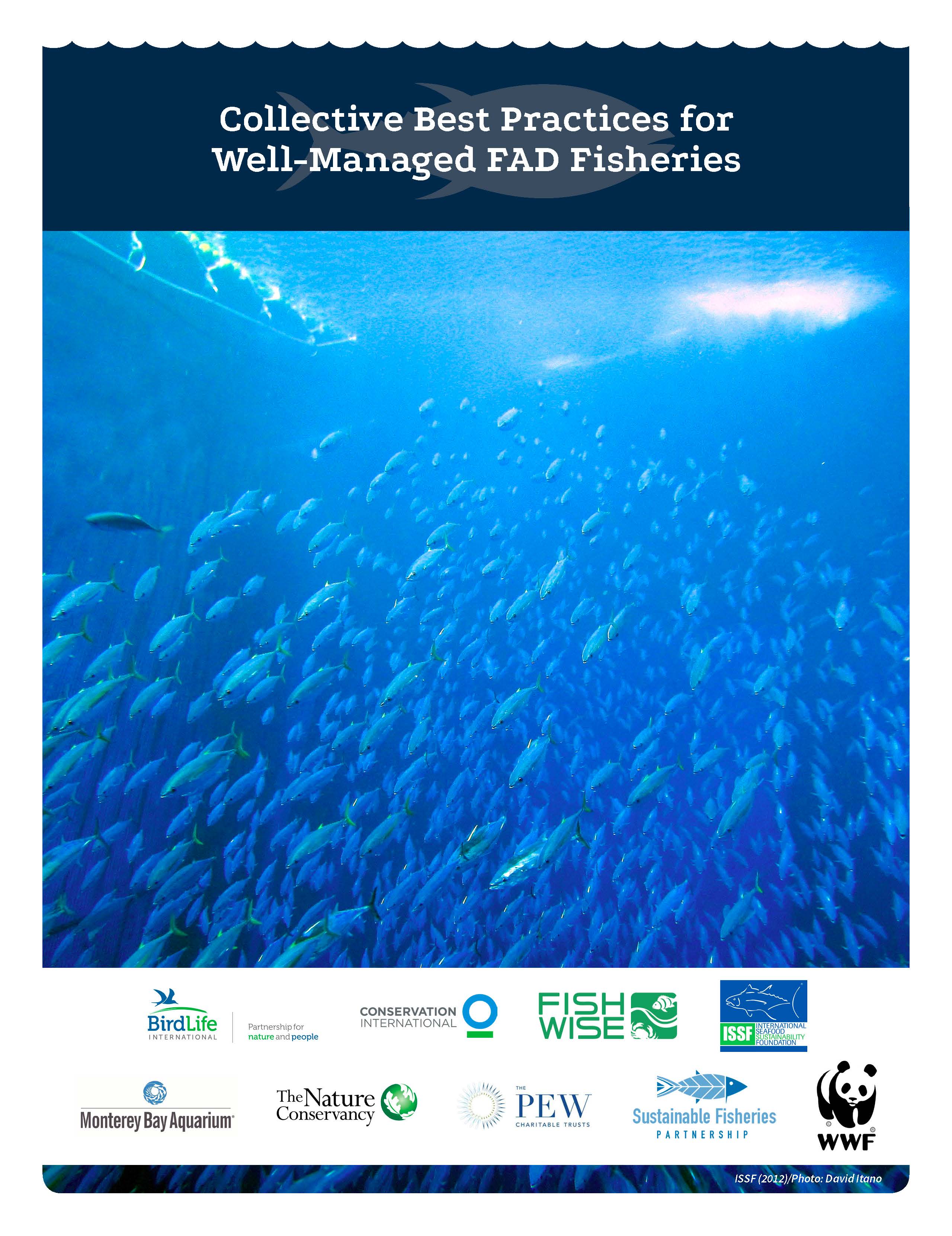 FAD Types - International Seafood Sustainability Foundation