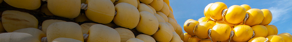 Record of Large-Scale Purse Seine Vessels - International Seafood ...