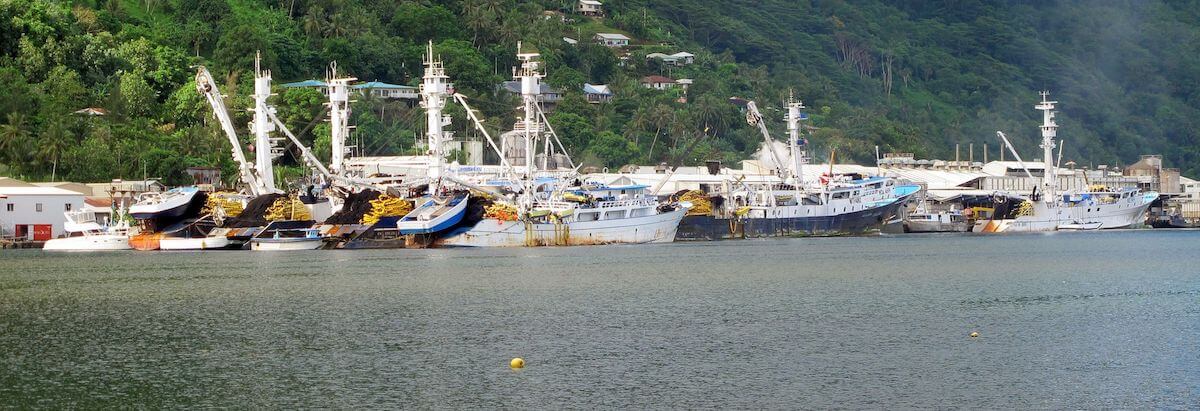 Regional Fisheries Management Organizations (RFMOs) - International ...