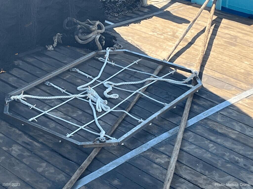 Update from the Field: Fishing for Answers for Endangered Mobulid Rays ...