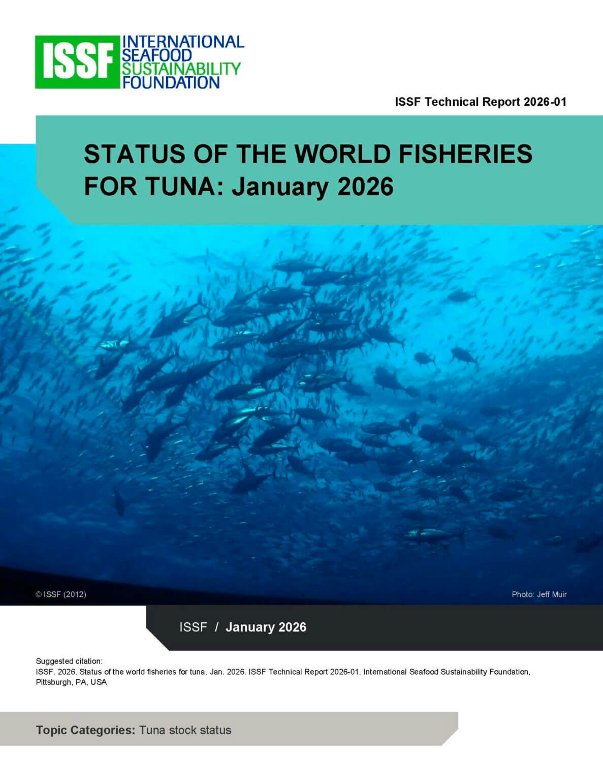 97% of Global Tuna Catch Comes from Stocks at Healthy Abundance Levels ...